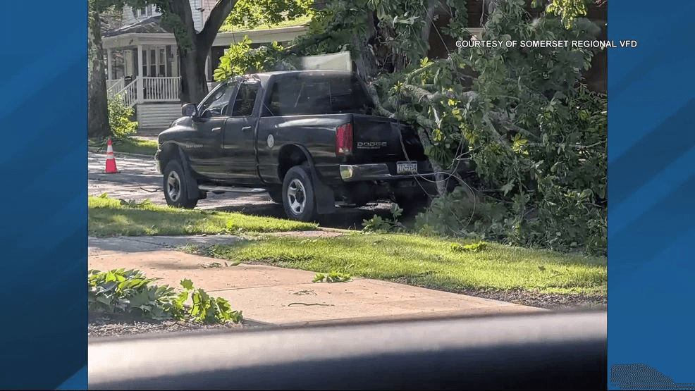 Weekend storm spurs downed trees & power lines; Somerset VFD responds ...