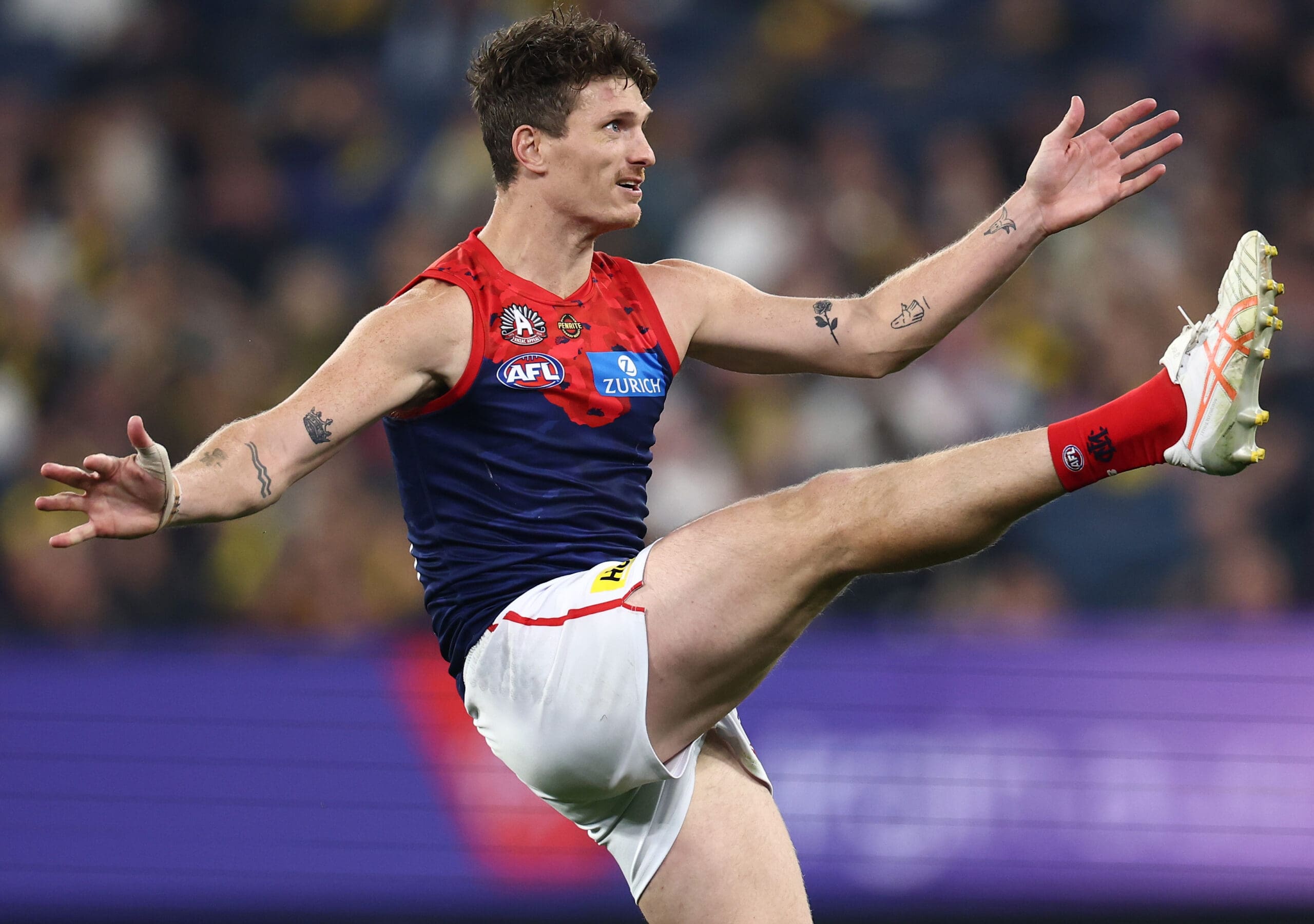Demons, Pies comment on scary Mihocek injury