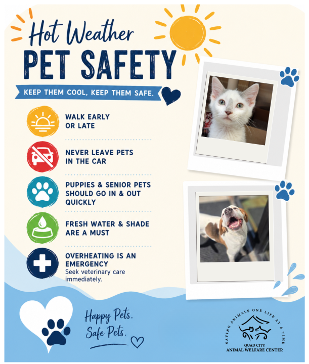 Quad City Animal Welfare Center, Milan, gives tips on pet care during ...