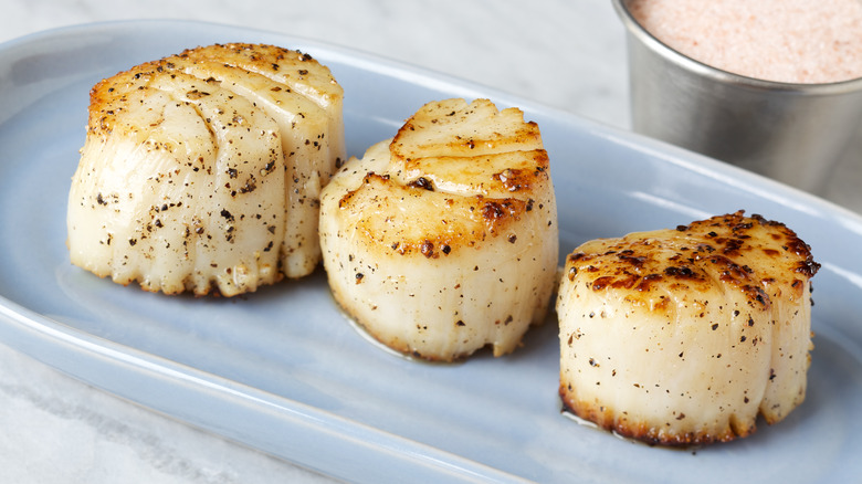 10 common mistakes to avoid when cooking scallops