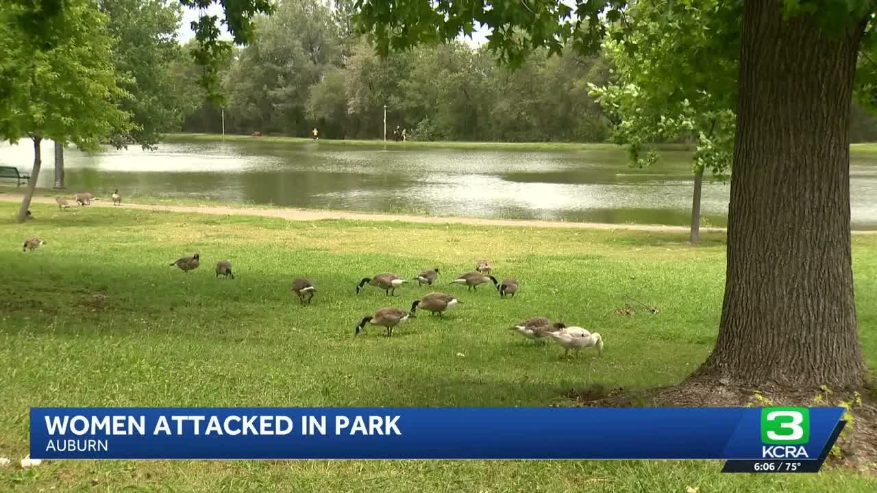 Women attacked in Auburn Park while fishing