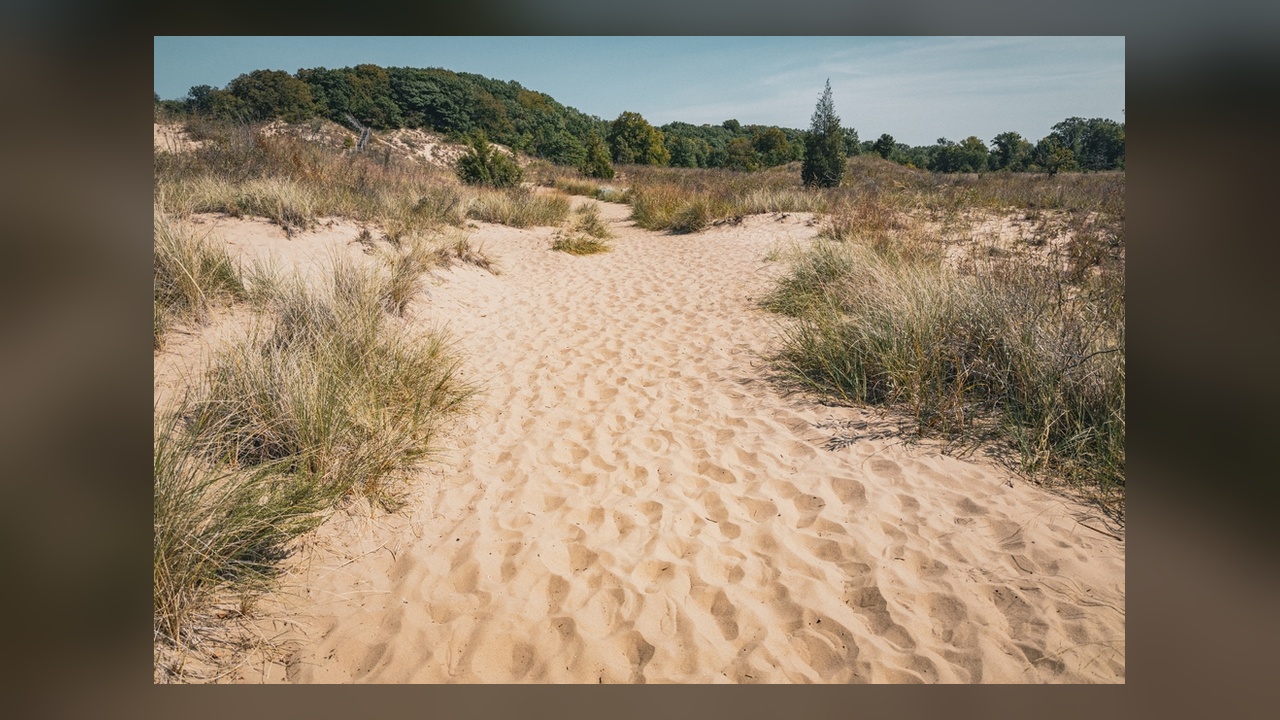 Indiana has a national park where sand eats trees and cactus grows next ...