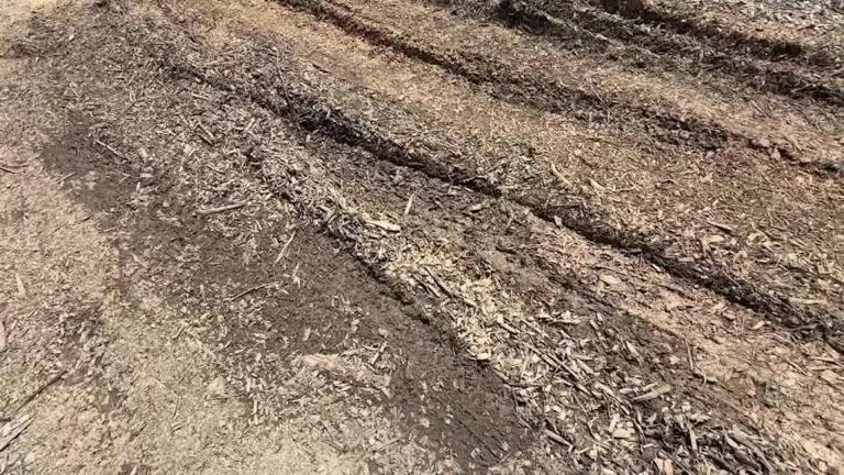 Raw sewage in the road, resident stuck without water at Tazewell mobile ...