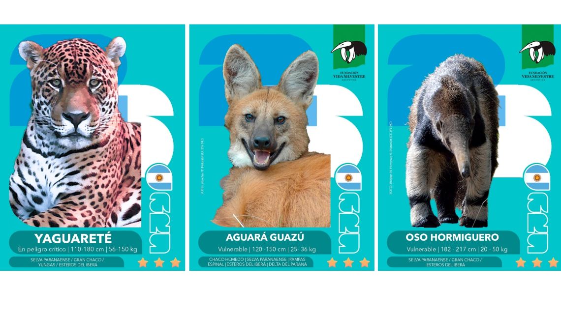 La ONG Vida Silvestre lanza un álbum y figuritas de animales en peligro ...