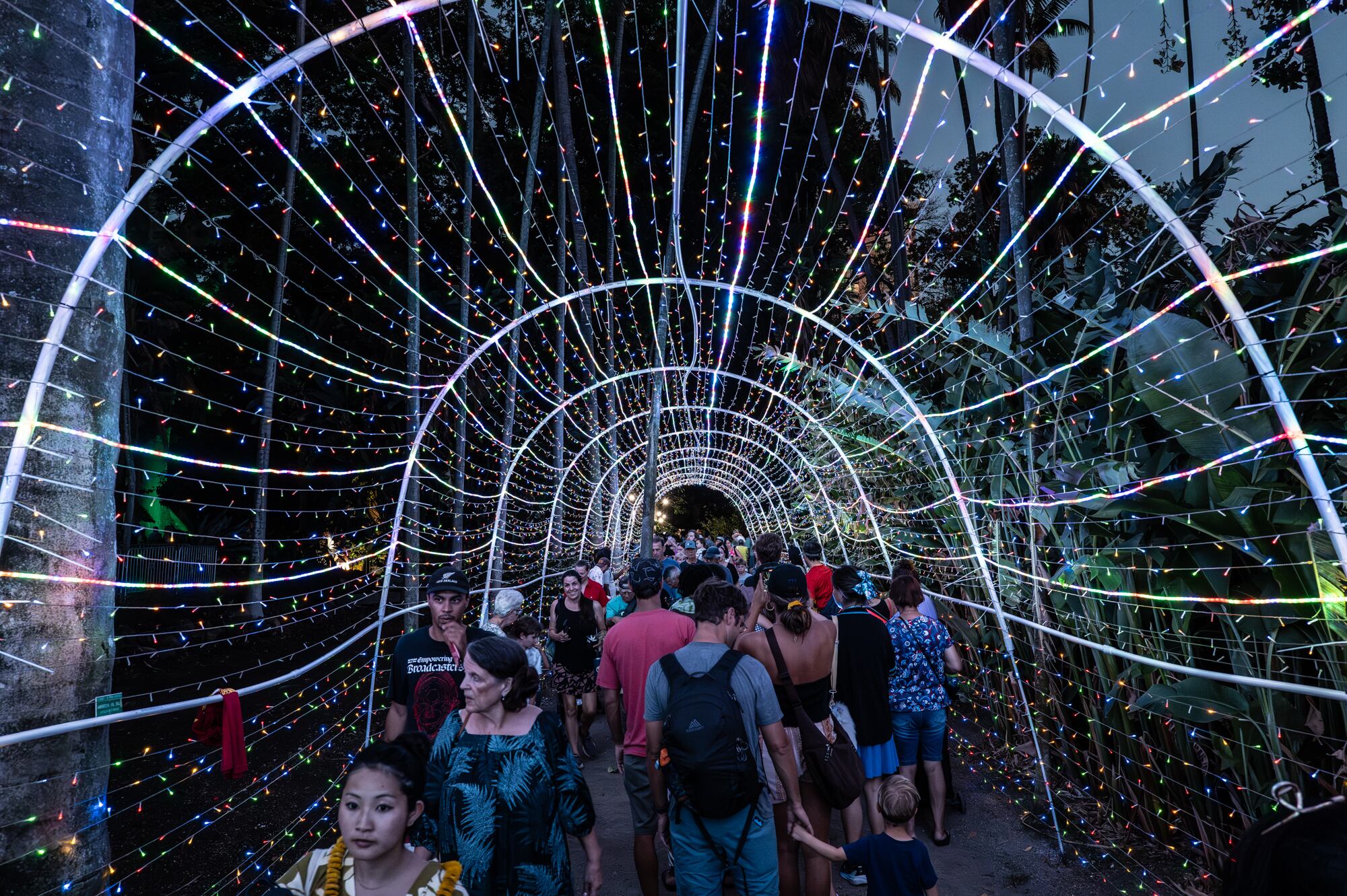 Midsummer Night’s Gleam lights festival returns to Foster Botanical ...