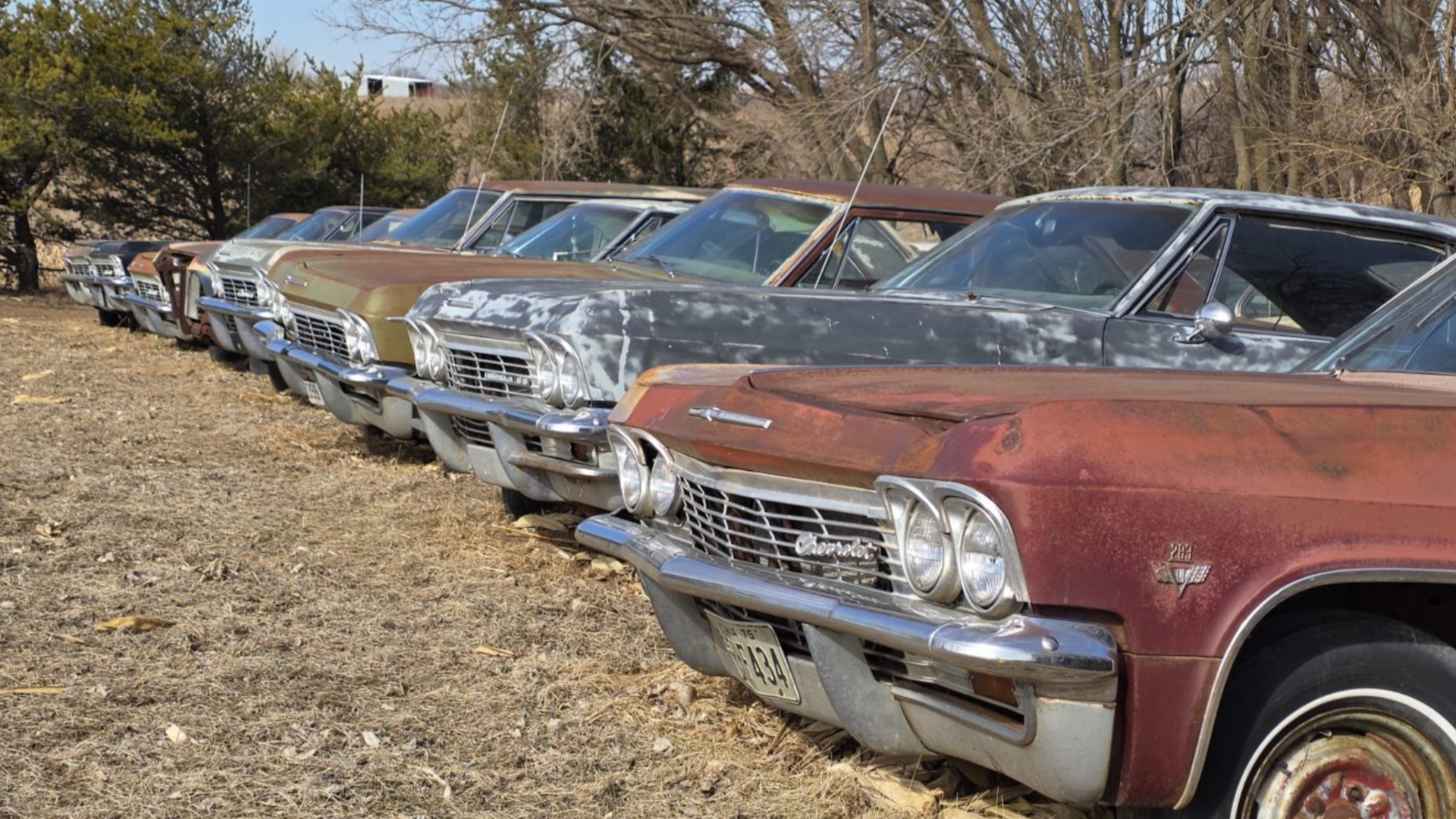 A massive hoard of 250 classic Chevy Impalas will be sold at auction