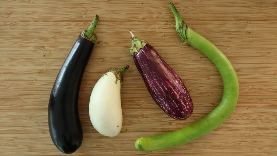 Avoiding common eggplant Parmesan errors