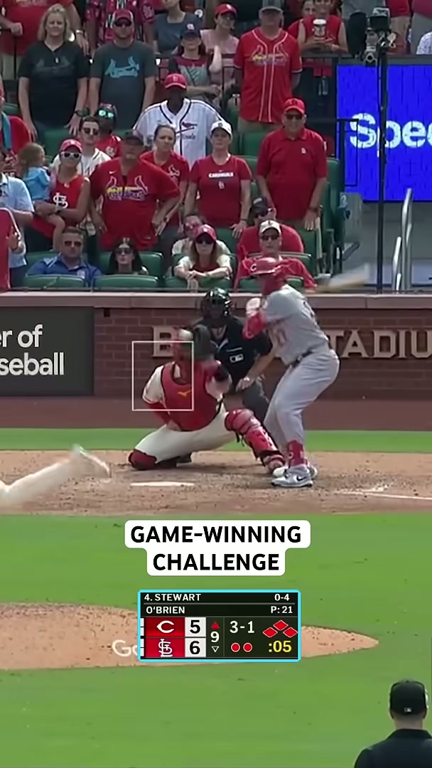 Challenge system humiliates batter and broadcaster