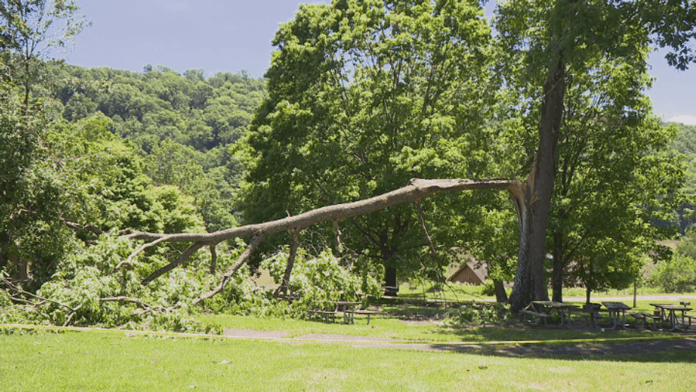Storm damages causes closure of campgrounds, other facilities at Laurel ...