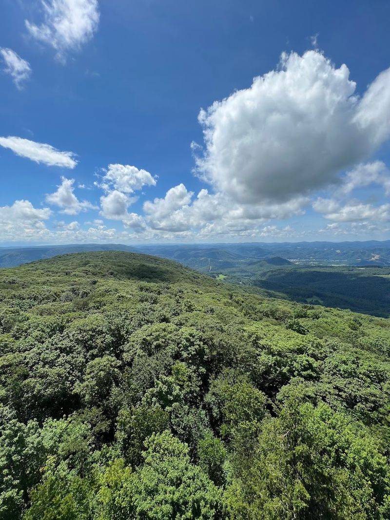 Climb 133 steps to the top of this West Virginia fire tower for views ...