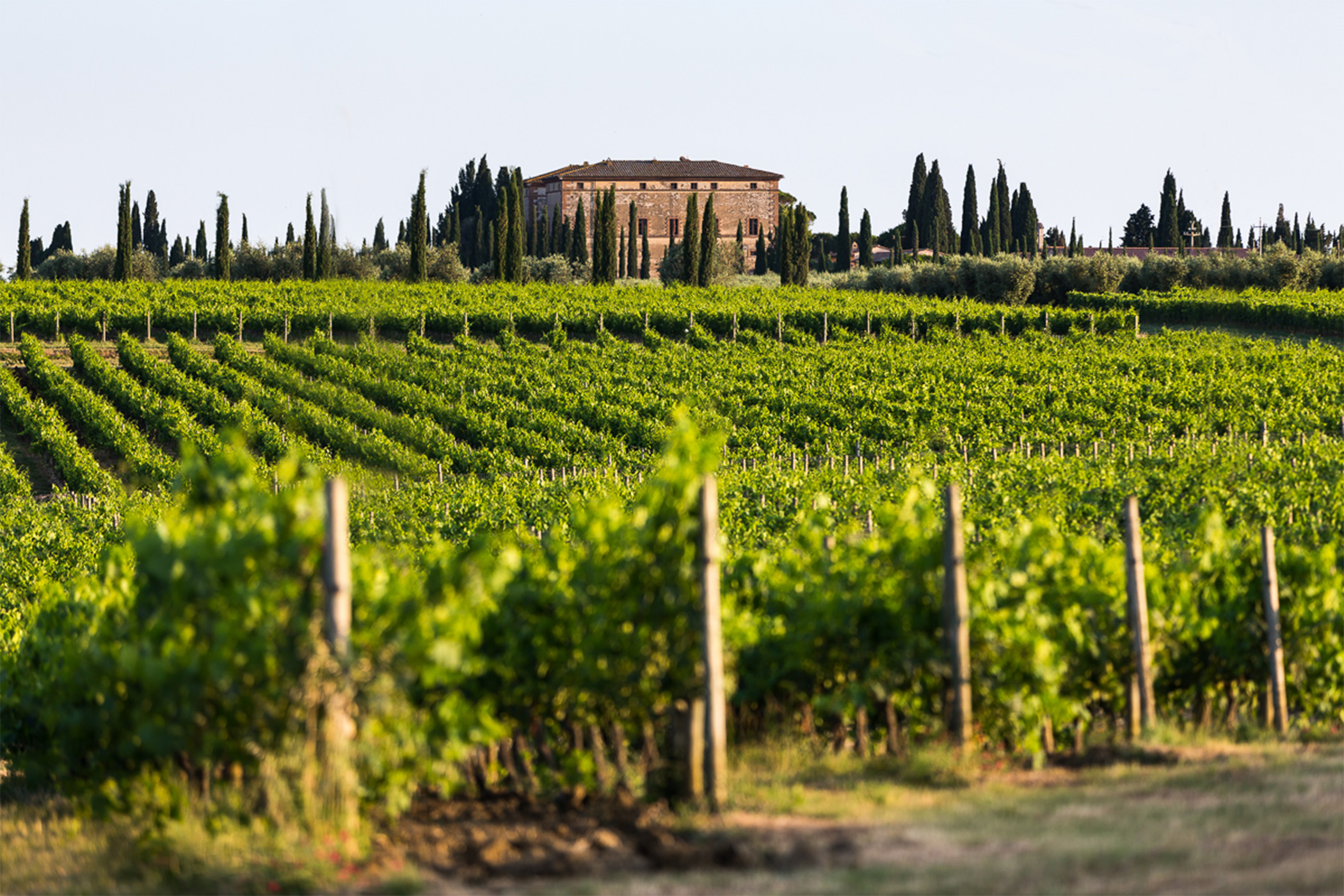 America’s largest wine producer announces closure, layoffs in ...