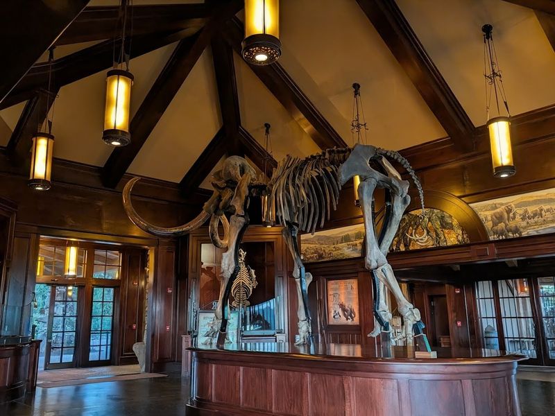 This massive underground Missouri museum is full of surreal curiosities