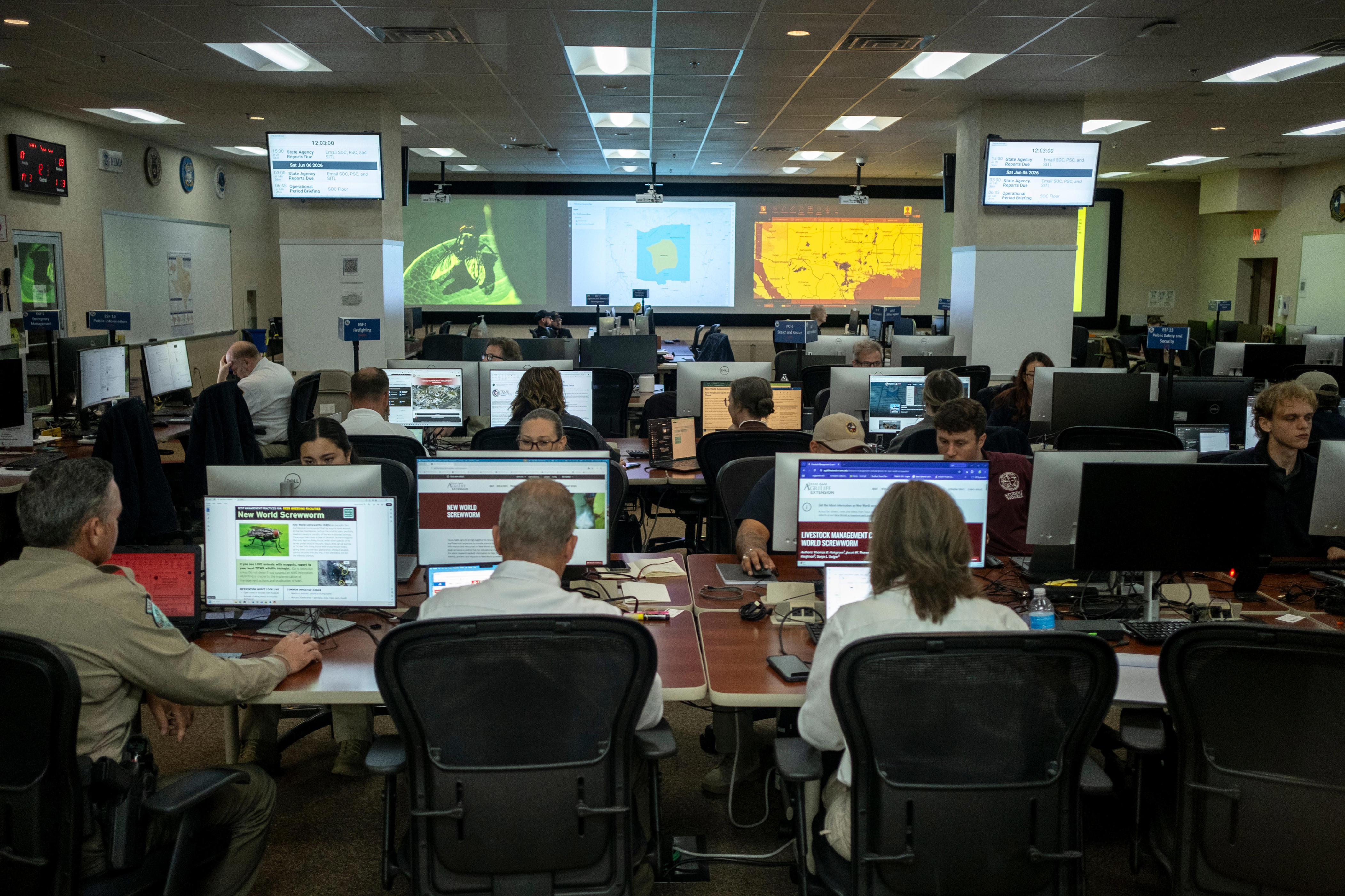 Abbott activates Texas emergency response amid growing screwworm cases