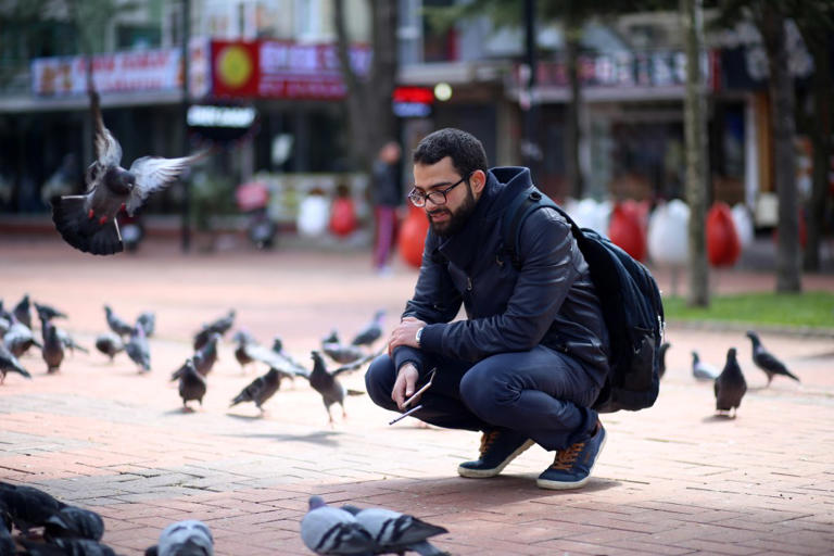 City birds are more scared of women than men and researchers can’t ...