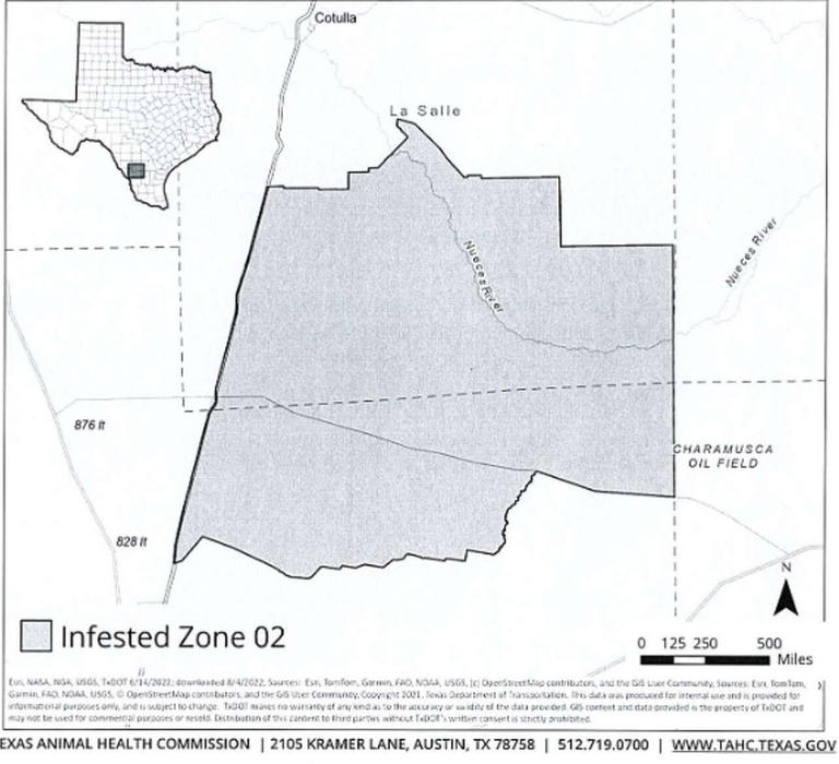 Third Texas screwworm case prompts quarantine affecting Webb, La Salle ...