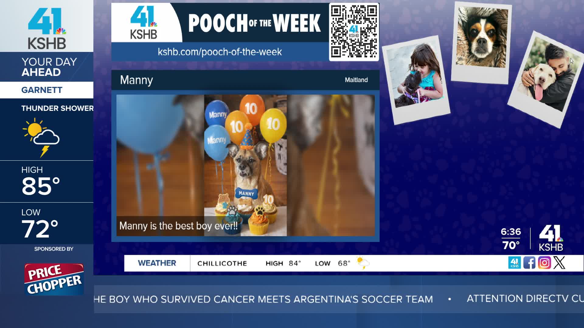 Pooch of the week: Manny