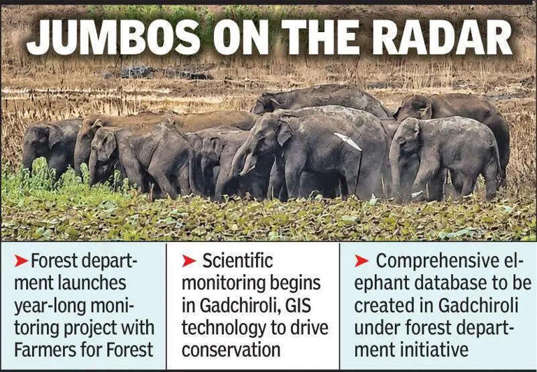 Forest dept plans data-driven elephant tracking to reduce conflict in ...