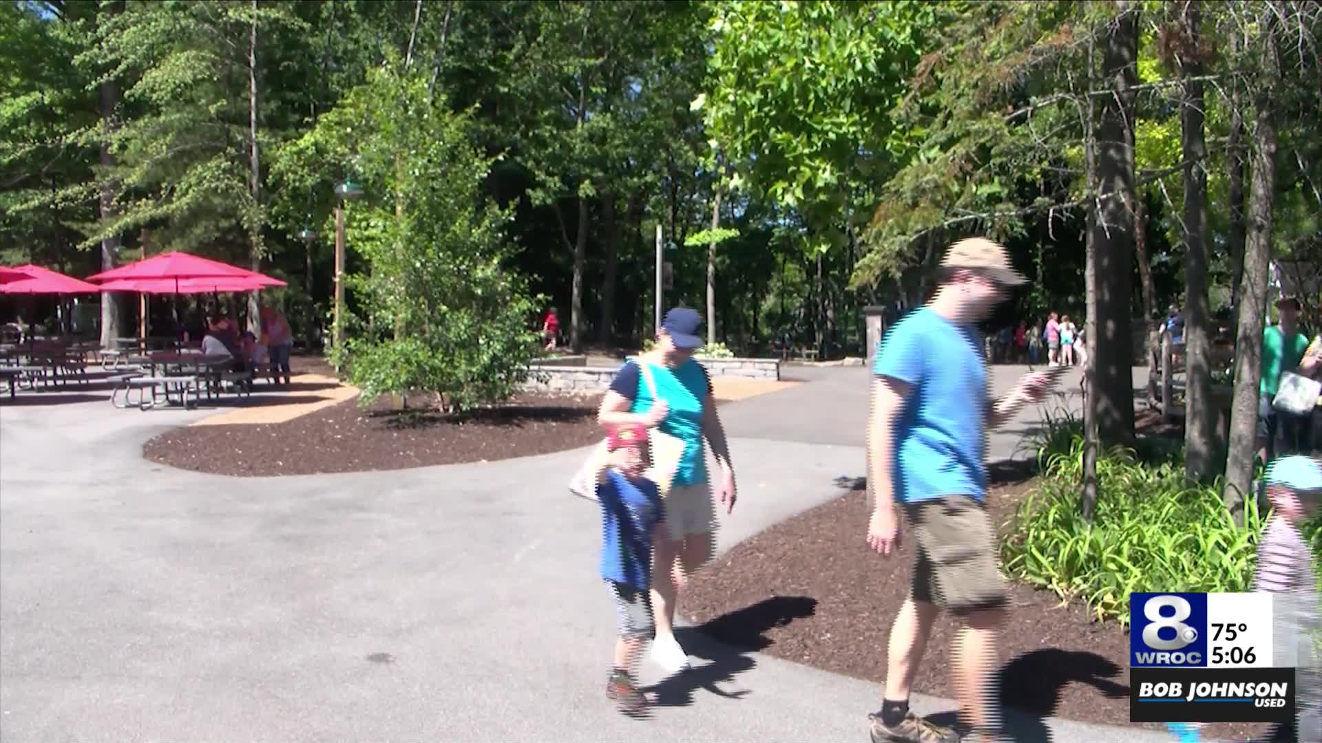 Seneca Park Zoo evacuated, closed for day after tree limb falls on ...