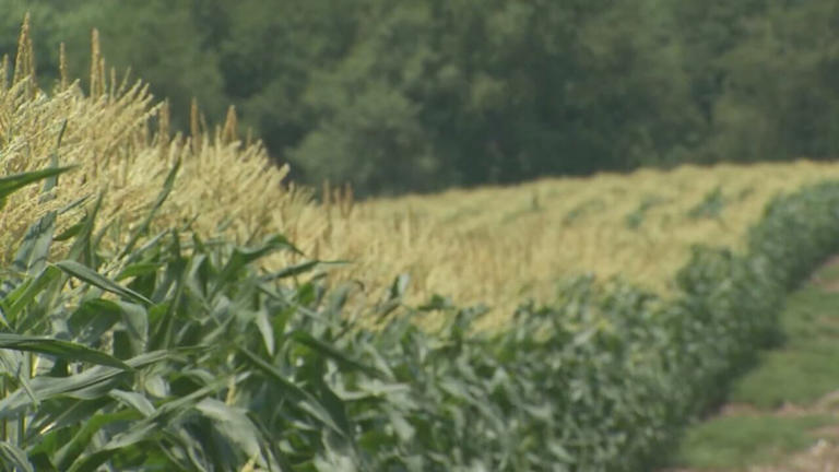 Recent storms deliver relief to southern and eastern Iowa farmland