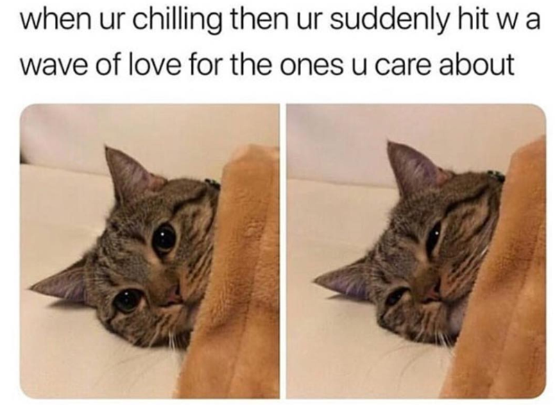 23 delightfully wholesome memes to sprinkle some happiness into your scroll