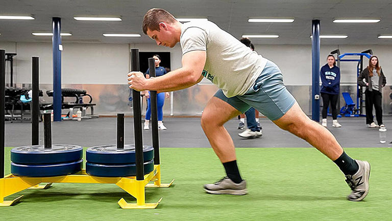 MYLPF protein serves as a molecular linchpin for muscle health