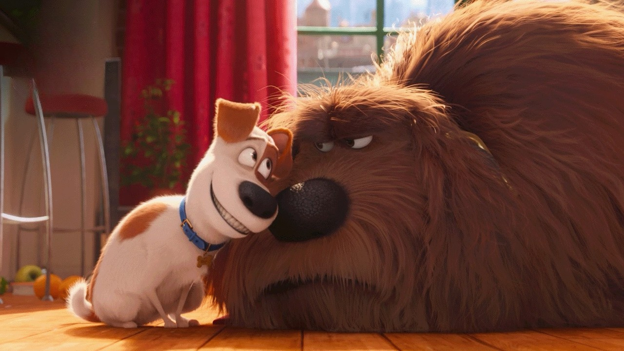 Max’s new roommate disaster (extended clip) | The Secret Life of Pets