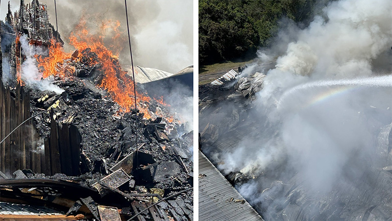 Crystal River bee farm destroyed in 'catastrophic' fire
