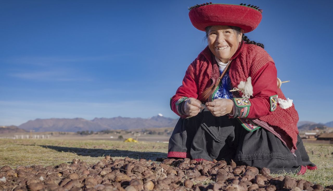 Indigenous Andeans may digest potatoes better than anyone else in the ...