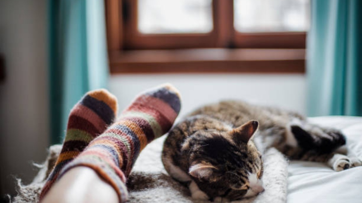 Human habits that cats probably don't like