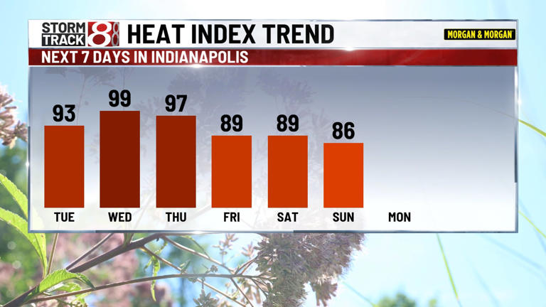 Steamy weather continues with more rain & storms on the way