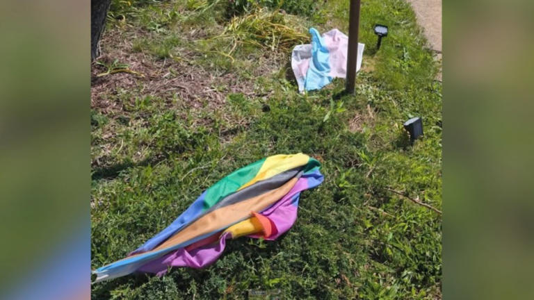 LGBTQ+ organization speaks out after pride flags vandalized