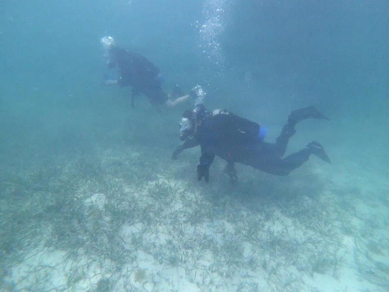 Lynette Hooker case: Coast Guard concludes latest search in Bahamas