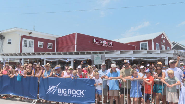 Big Rock tournament gives Morehead City businesses a boost