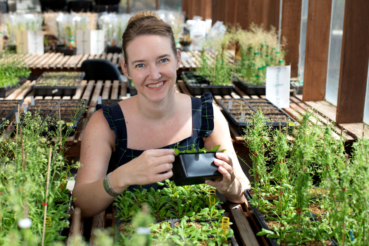 How plants survive constant DNA damage: Newly identified repair protein ...