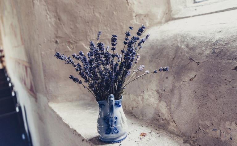 Lavanda: dónde colocarla para alejar las malas energías del hogar ...