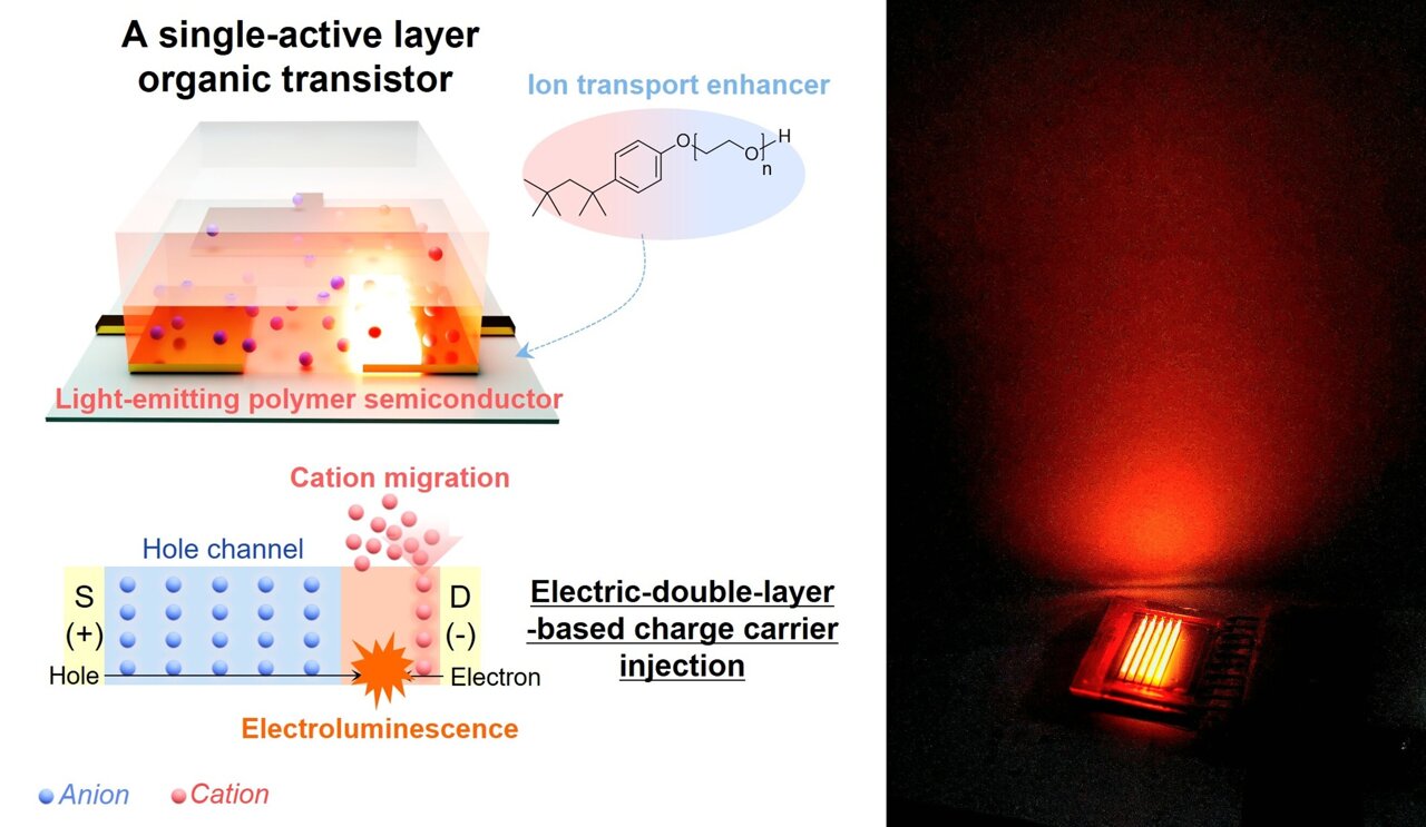 Organic transistor unites memory, signal processing and light emission ...