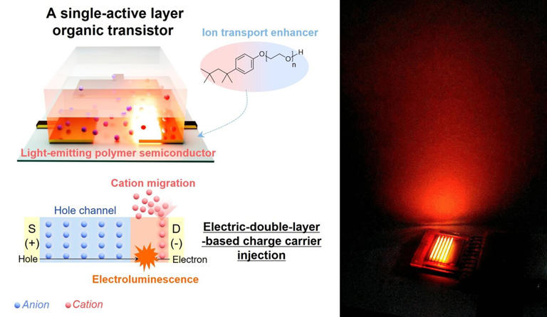 Organic transistor unites memory, signal processing and light emission ...