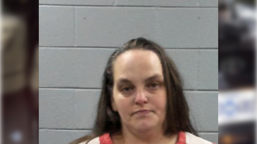 Woman arrested for trying to introduce $400K worth of contraband into ...