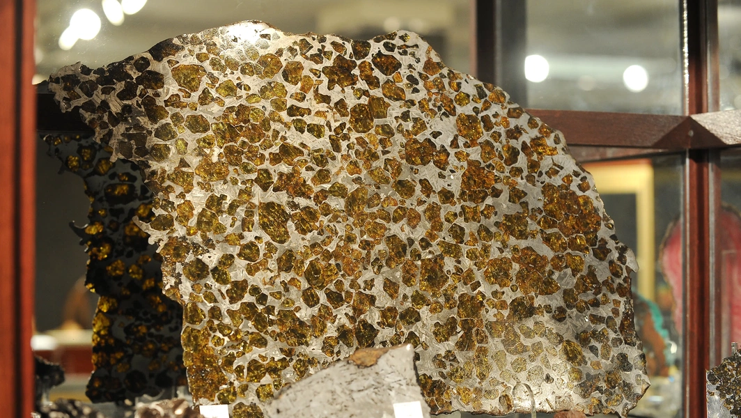15 fascinating cross-sections from nature and design