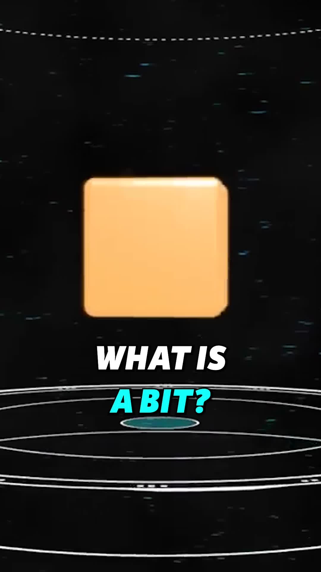 What is a bit? Find out!