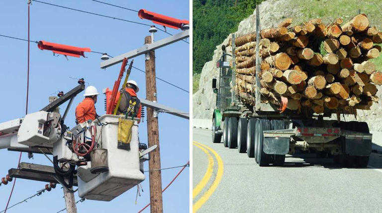 These are Canada's highest-paying job fields right now and #1 isn't ...