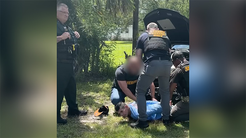 Florida man accused of shooting cat in eye with BB gun, killing it