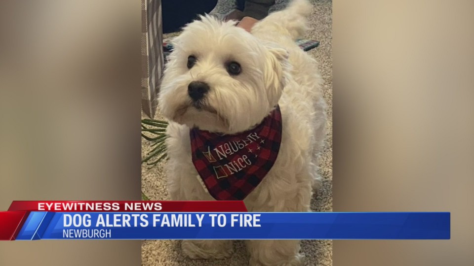 Dog Alerts Family to Fiire