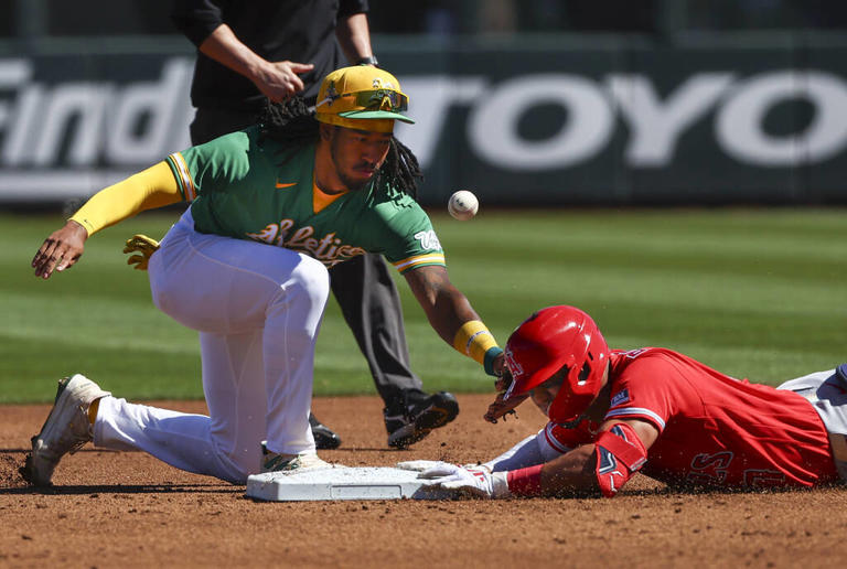 Athletics impressed by Kuroda-Grauer’s leadership with Aviators