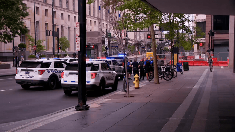 Domino’s employee arrested after stealing car, leading police on chase ...