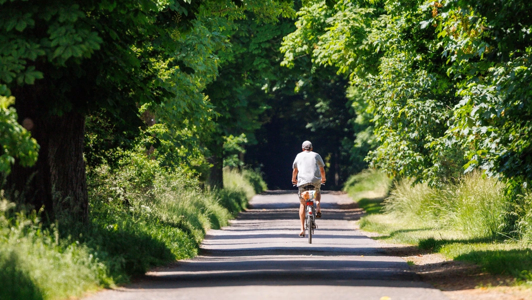 How daily cycling transforms health and well-being
