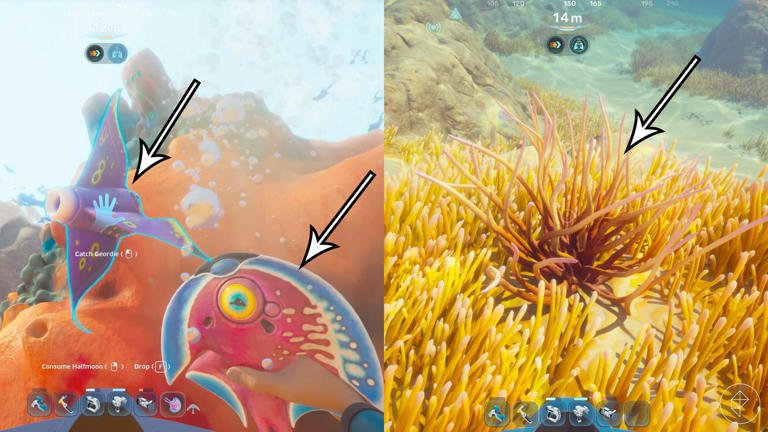 How to get food in Subnautica 2