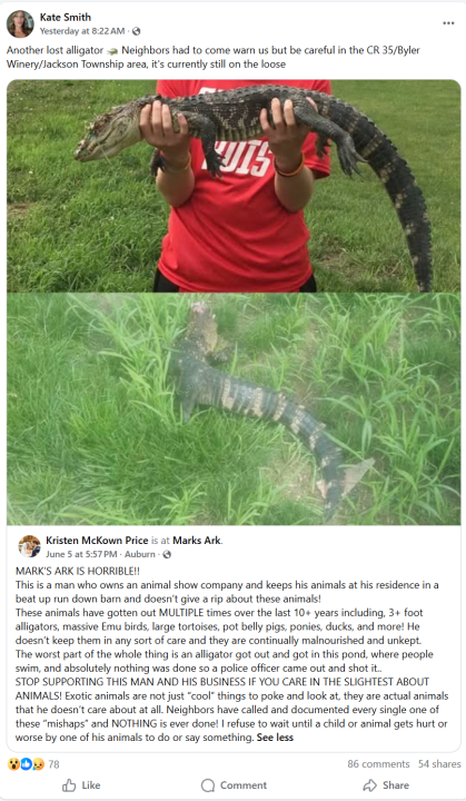 Runaway alligator owner in Auburn explains escape, denounces ...