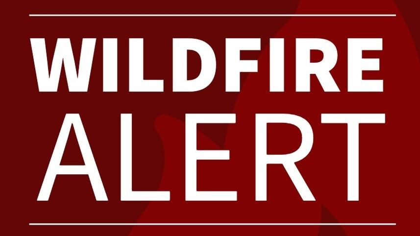 Multiple wildfires ignite across western Colorado, Bee Hive Fire grows ...