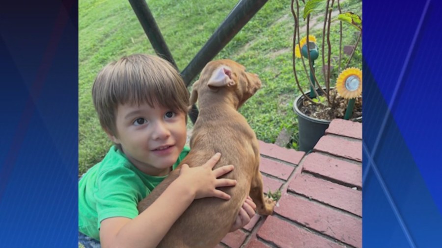Winston-Salem man charged in hit-and-run that killed 5-year-old in High ...